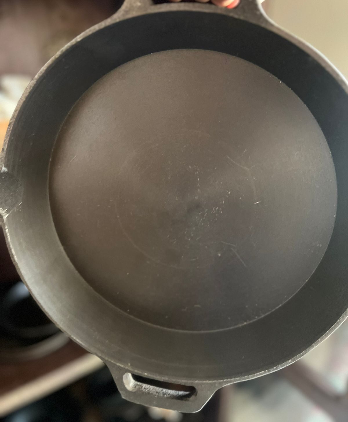 Pre-Seasoned Cast Iron Large Oven Skillet – Flat Base-Gas/Electric ...